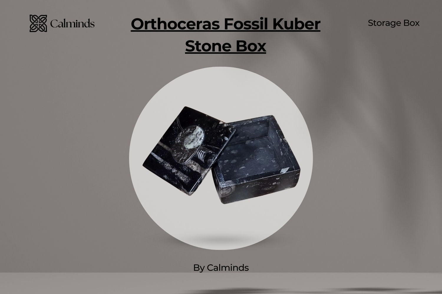 Orthoceras Fossil Kuber Stone Box – Energy & Protection